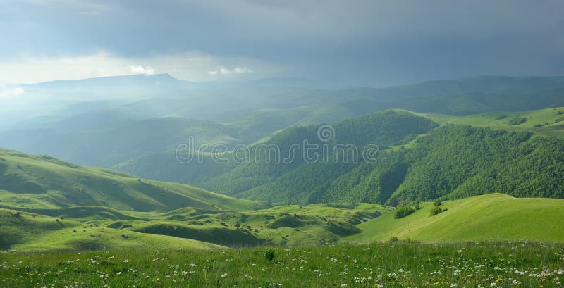 Somber morning stock photo. Image of forest, morning - 55945716