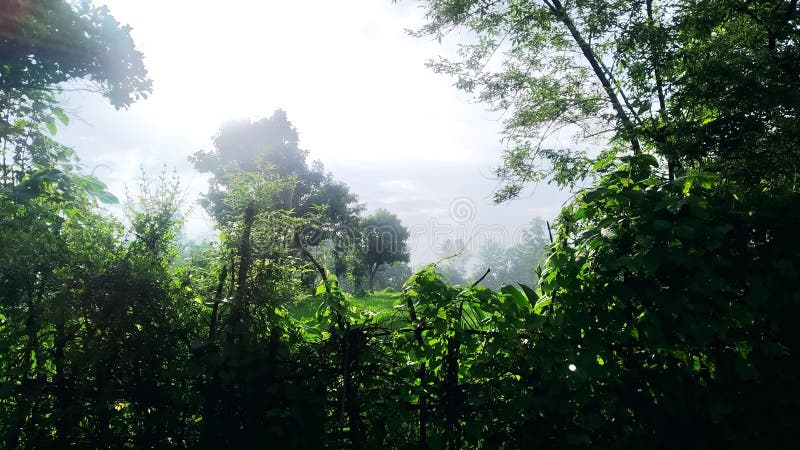 Nutare Background Stock Photos - Free & Royalty-Free Stock Photos from ...