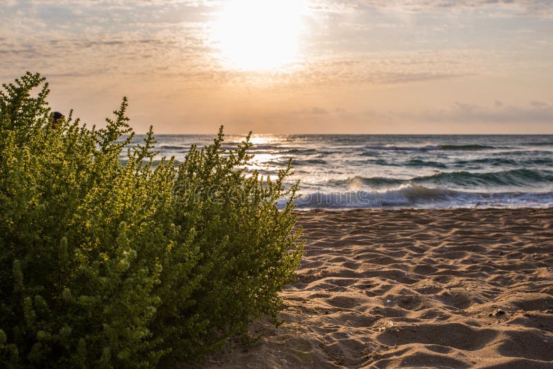 Morning on the ocean stock photo. Image of color, reflection - 171085114