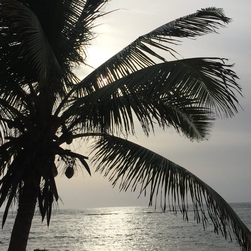 Morning ocean view stock image. Image of ocean, morning - 55645791