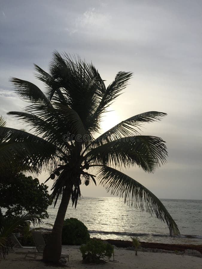 Morning ocean view stock image. Image of shore, background - 55645889