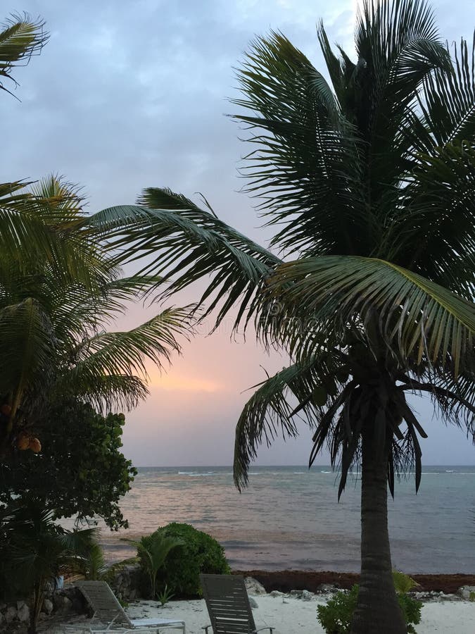 Morning Ocean View Vacation Stock Photo - Image of view, beach: 55646714