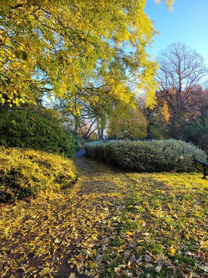 Morning Walk at the Cheam Park, Sutton Stock Photo - Image of walk ...