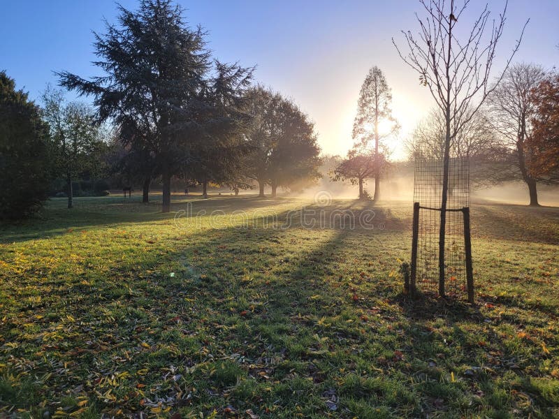 Morning Walk at the Cheam Park, Sutton Stock Image - Image of sutton ...