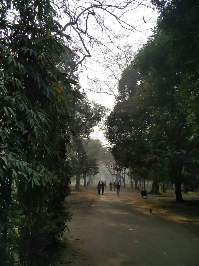 Morning Park stock photo. Image of beauty, walkway, walk - 91527214