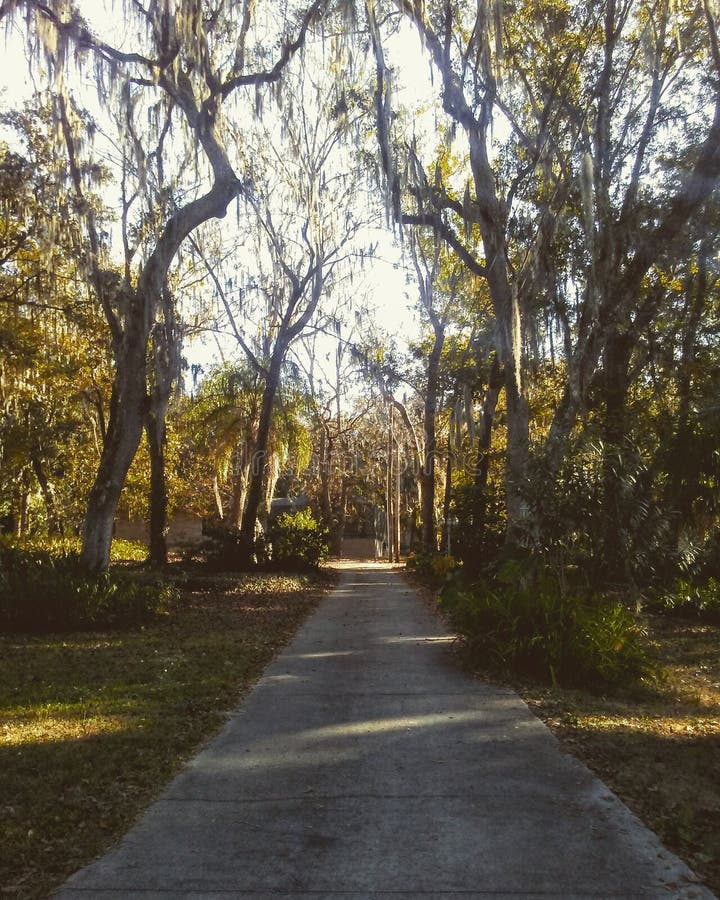 Morning path stock image. Image of path, walking, morning - 93208751