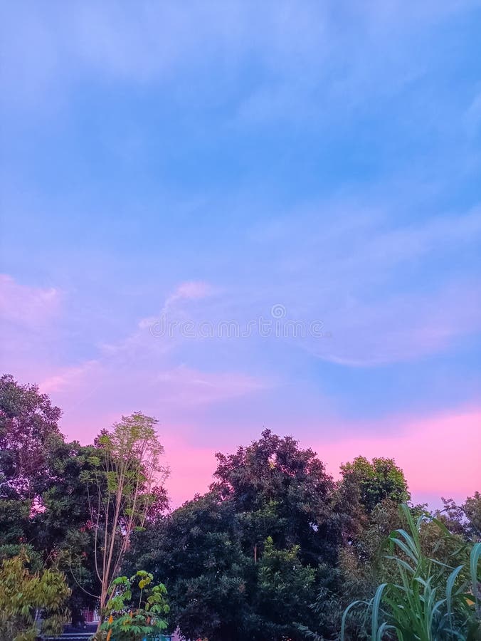 Morning pink sky stock photo. Image of plain, field - 266971584