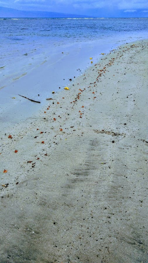 Beautiful Beach in the Morning Stock Image - Image of beautiful, beach ...