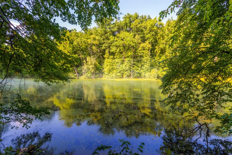 Morning on pond stock image. Image of blue, lake, wood - 240965937