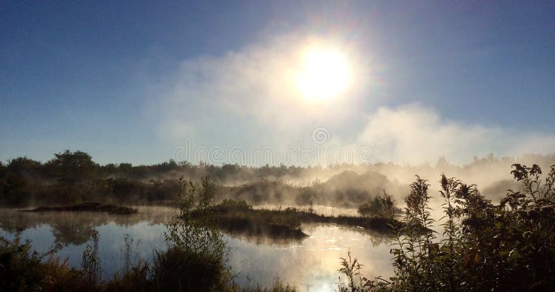 Morning Pond stock image. Image of scenic, orange, view - 36922381
