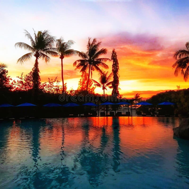 Morning at pool stock photo. Image of pool, honor, lite - 141086068