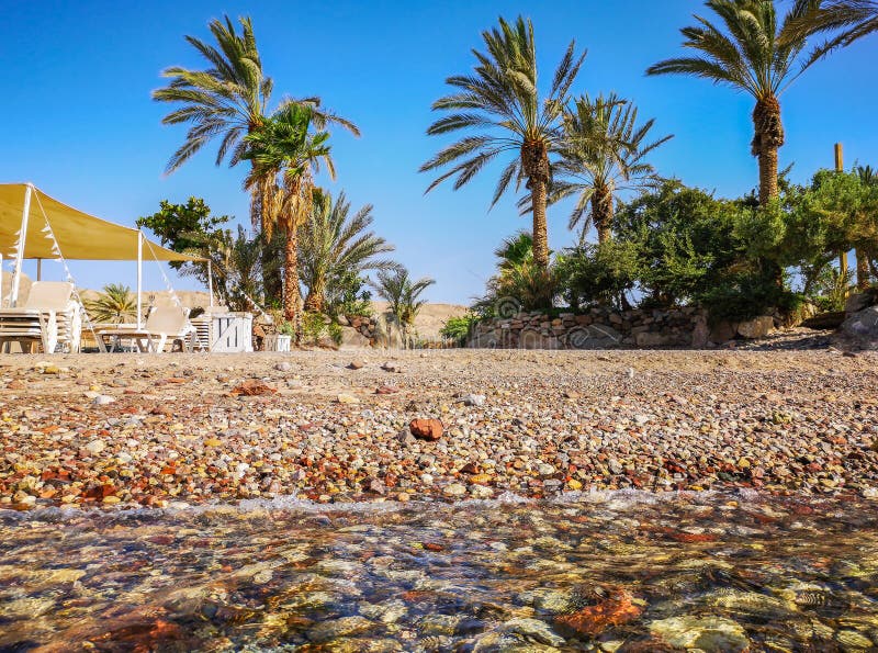 Morning at a Public Public Beach, Middle East Stock Photo - Image of ...
