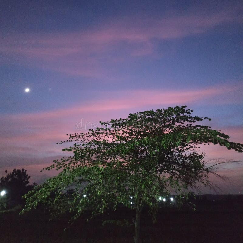 Purple, Pinkish Skies Sunset Stock Photo - Image of morning, cloud ...