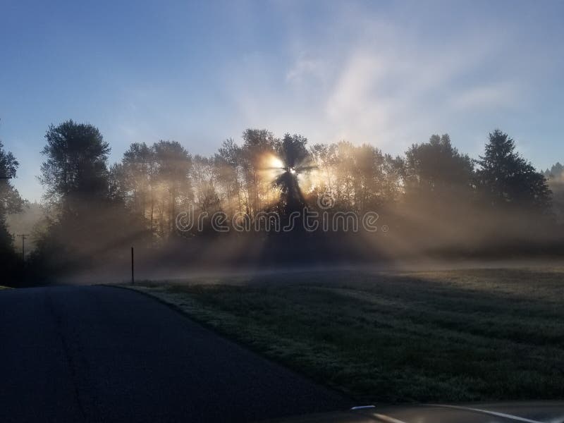 Morning rays stock image. Image of rays, early, morning - 137827901