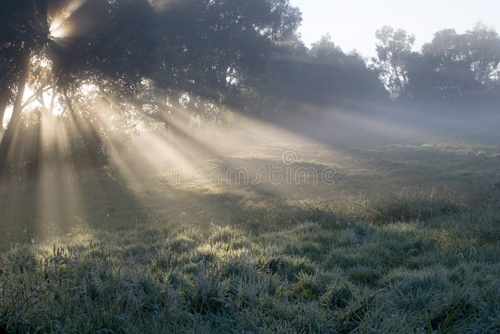 Morning rays stock image. Image of peaceful, outdoors - 33162521
