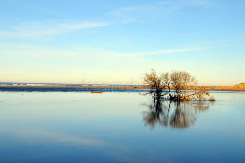 Morning reflection stock photo. Image of waves, water - 10463160