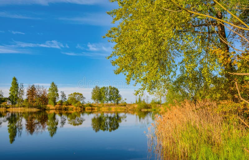Morning reflection stock image. Image of clouds, grass - 94250525