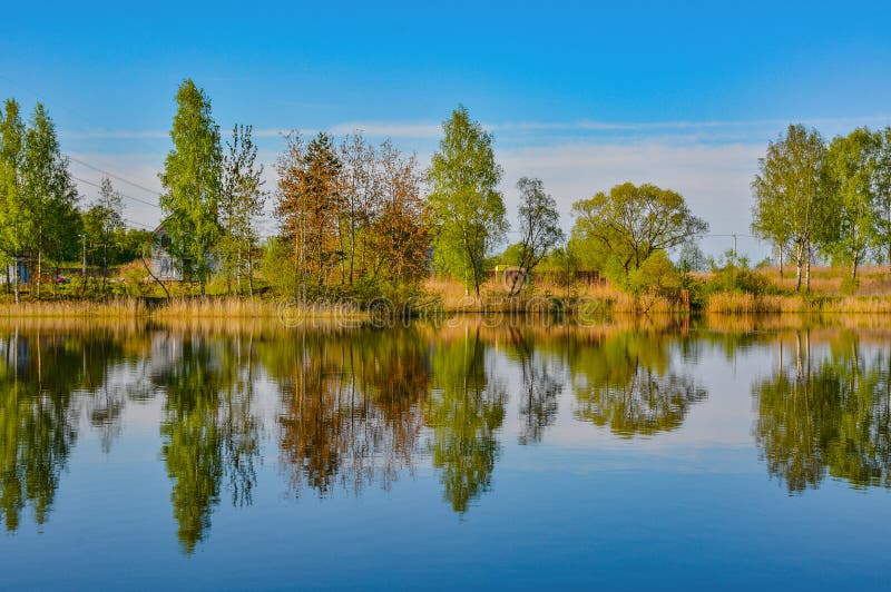 Morning reflection stock photo. Image of leaves, light - 94250646