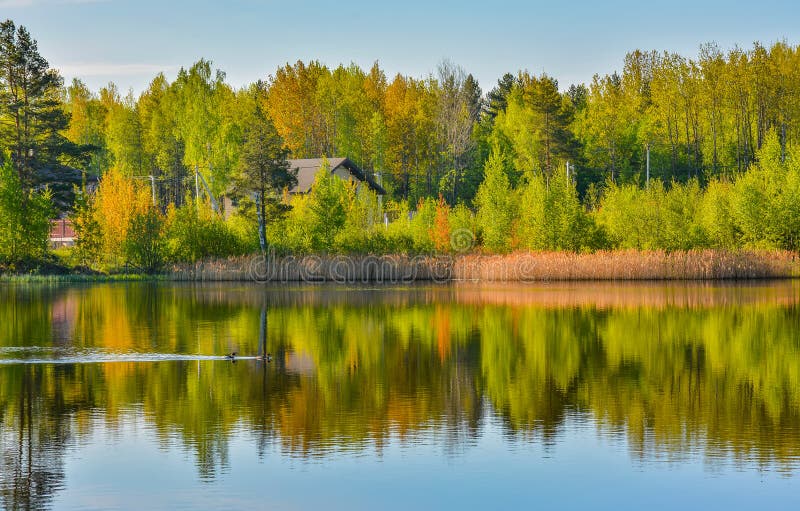 Morning Reflection in the Still Water Stock Photo - Image of blue ...
