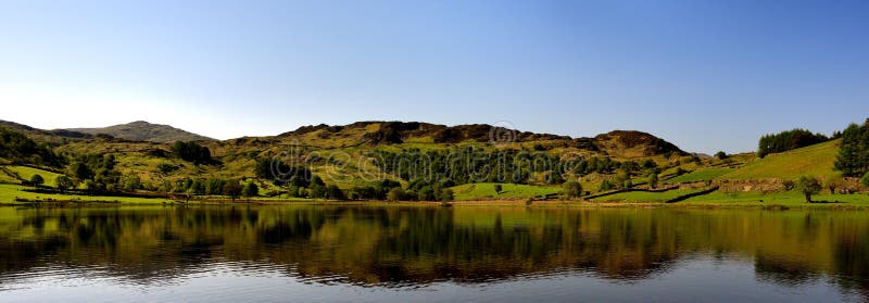 Peaceful Reflection on the Lake Stock Photo - Image of animals ...