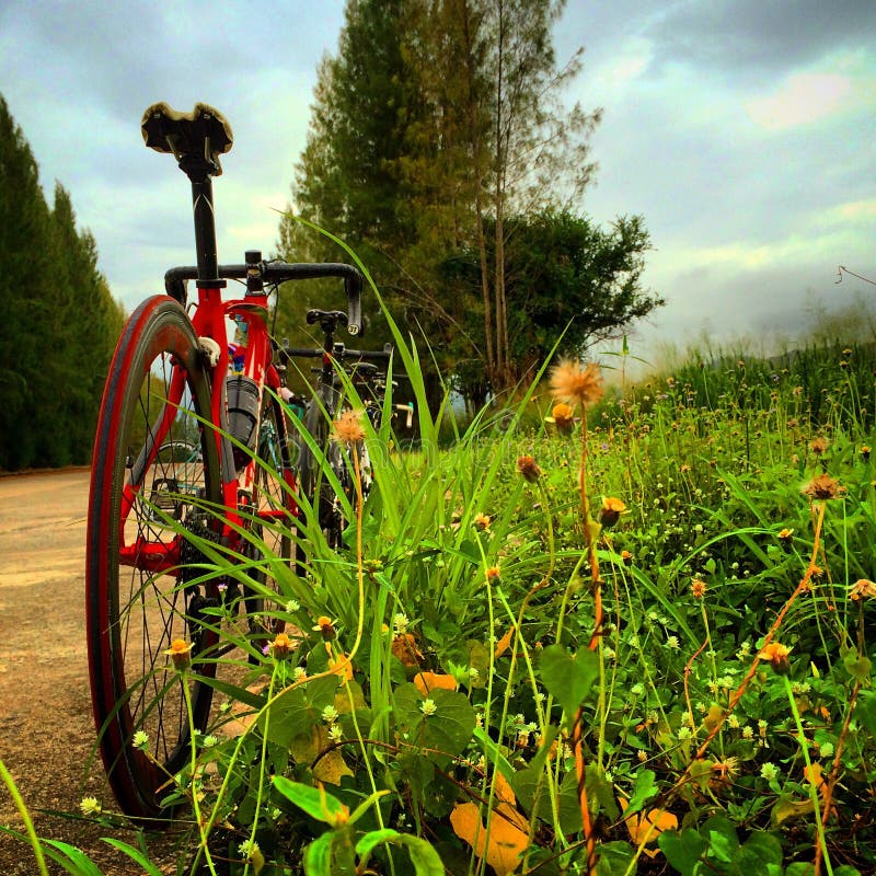 Morning ride stock photo. Image of foggy, morning, ride - 48880008