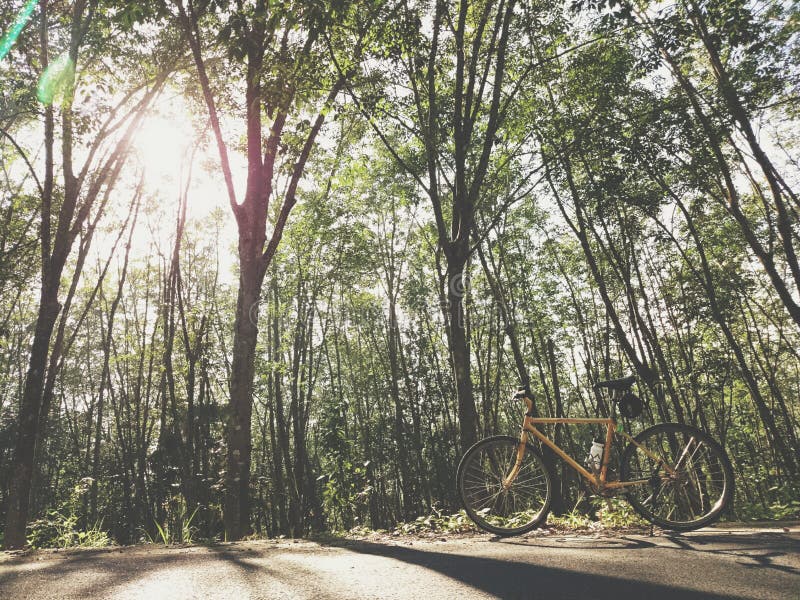 Morning ride, cycling stock photo. Image of exploration - 60108546
