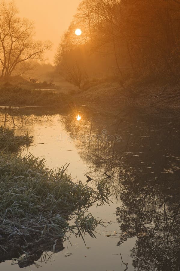 Morning on the river stock image. Image of hoar, tree - 21980117