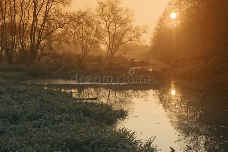 Morning on the river stock image. Image of leaves, landscape - 22003321