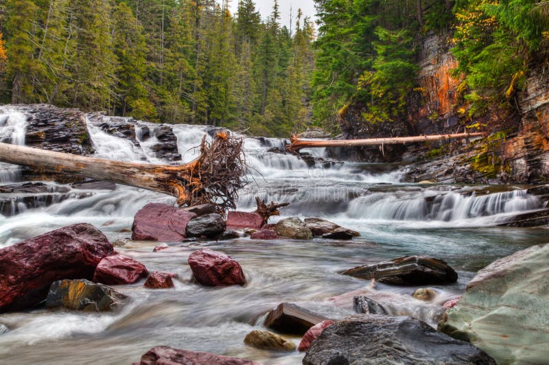 Morning River stock image. Image of trees, quiet, peaceful - 22743553