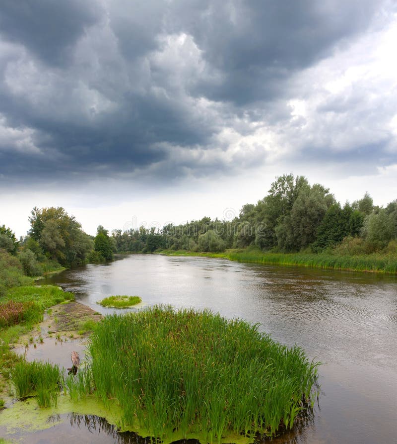 Morning on river stock image. Image of shore, green, tree - 22962719