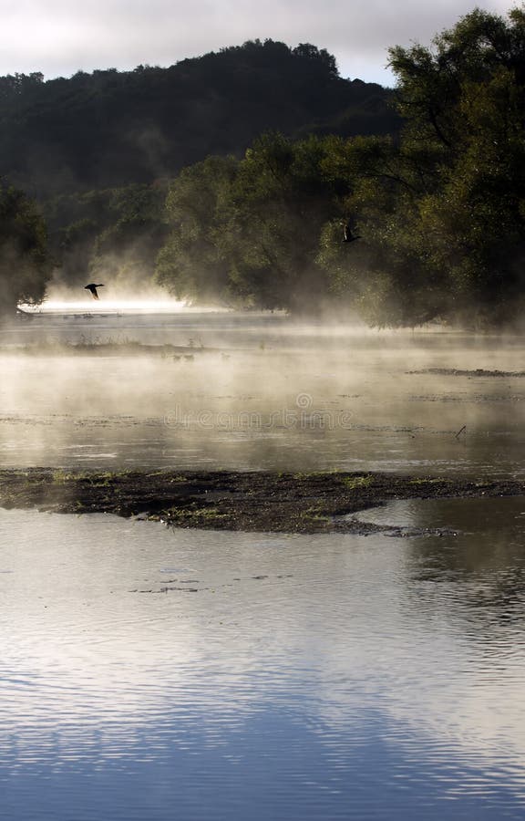 Morning by river stock photo. Image of river, reflections - 26836910