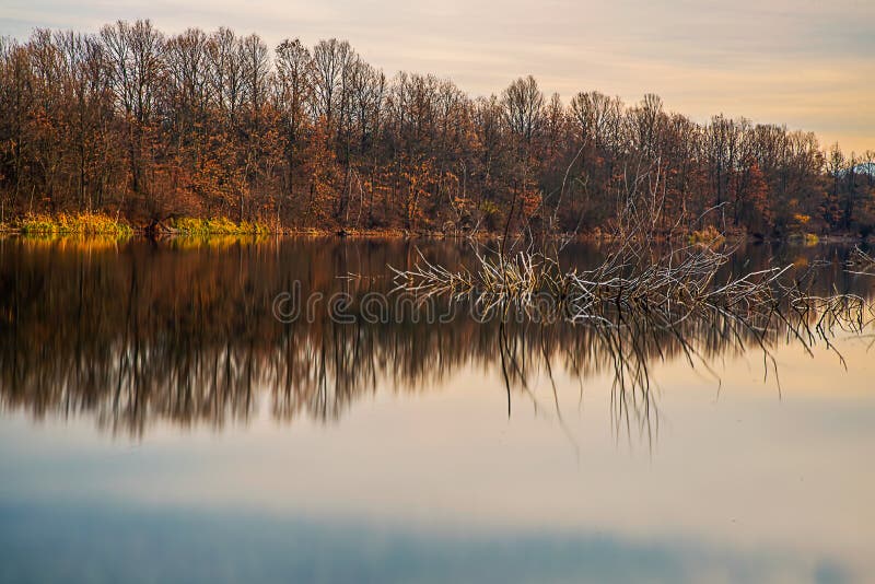 Morning on the river stock image. Image of mist, river - 105027953