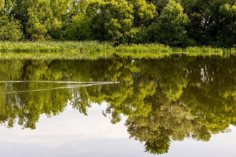 Morning,river,beauty stock photo. Image of landscape - 32848748