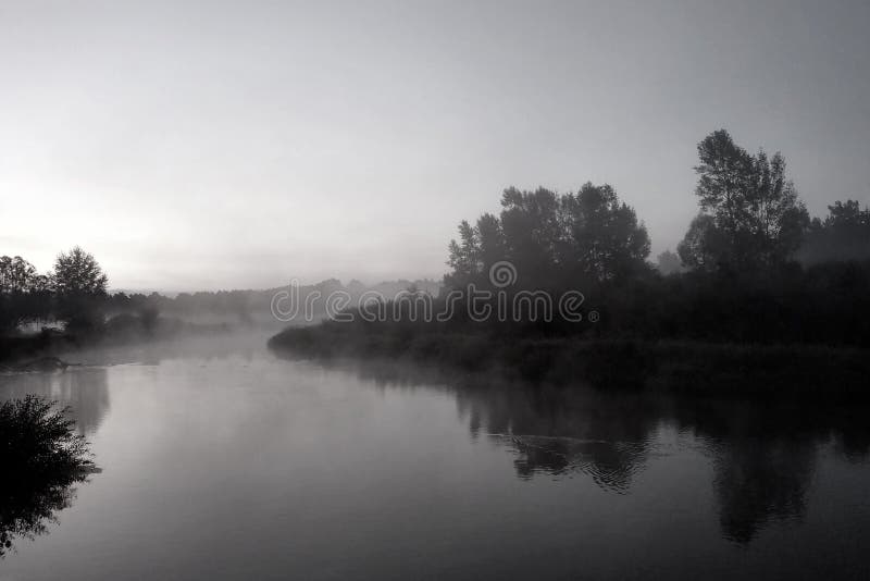 Morning on the River Early Morning Reeds Mist Fog and Water Surface on ...