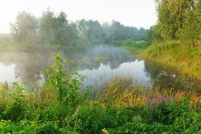 Morning river stock image. Image of motion, rainforest - 45433377