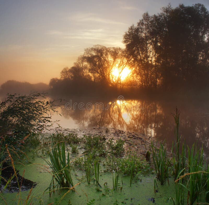 Morning on the river stock image. Image of climate, plain - 41941123