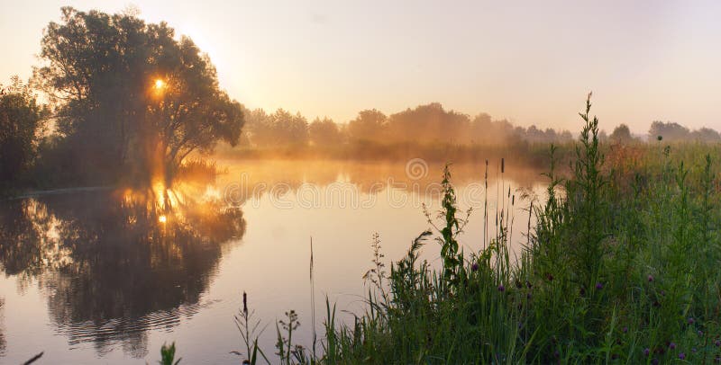 Morning on the river stock image. Image of panorama, light - 92657693