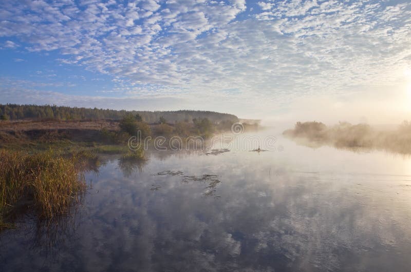 Morning on the river stock image. Image of morning, river - 64402551