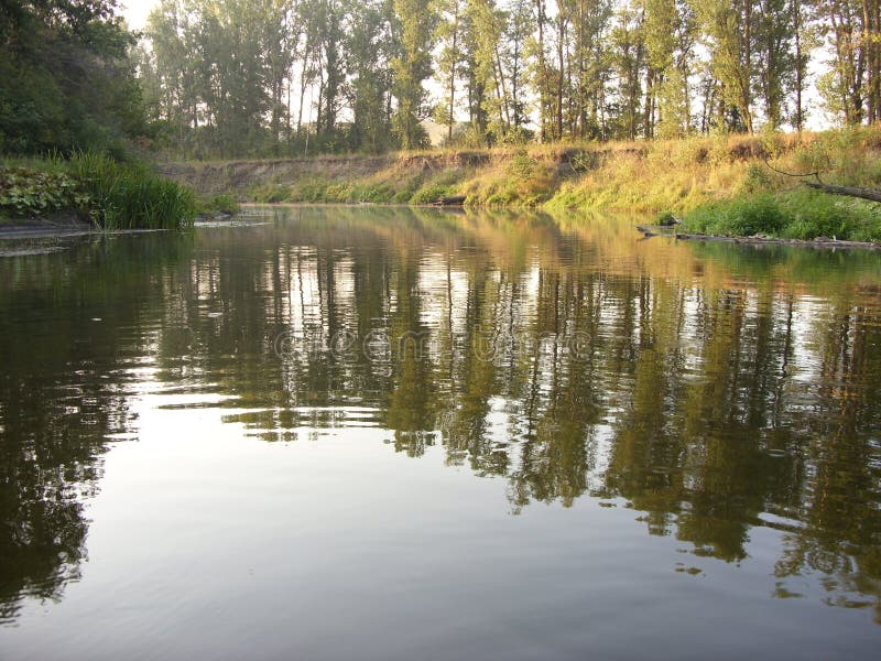 Morning river stock photo. Image of nature, pond, creek - 74388680