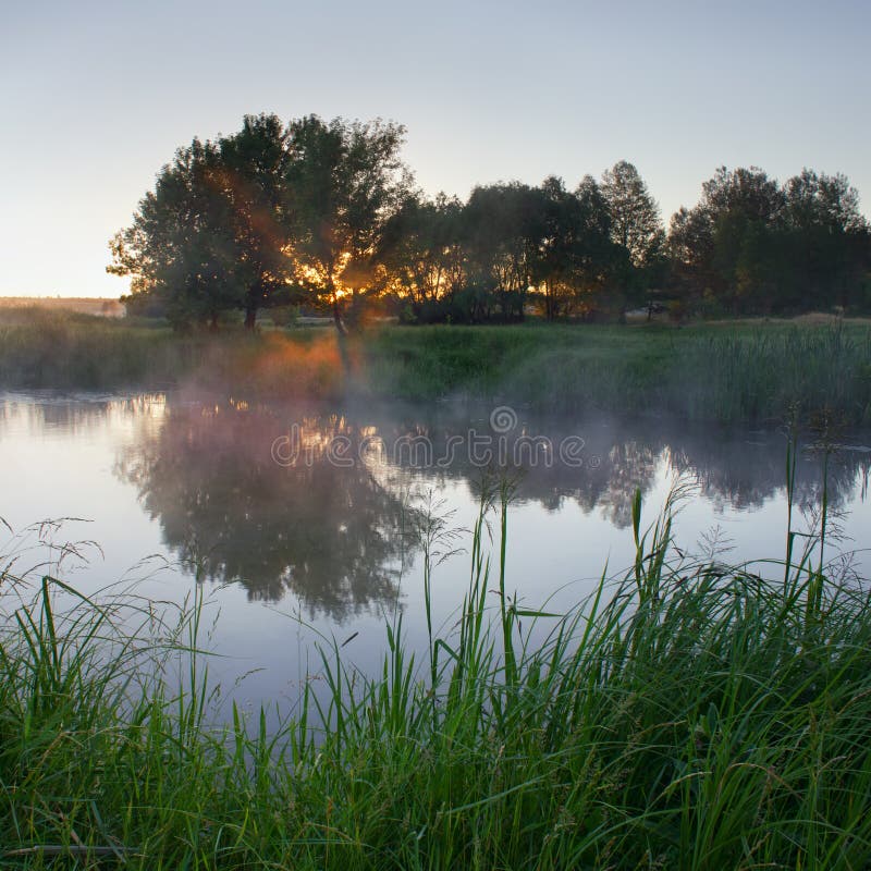 Morning on the river stock image. Image of green, mist - 59982707