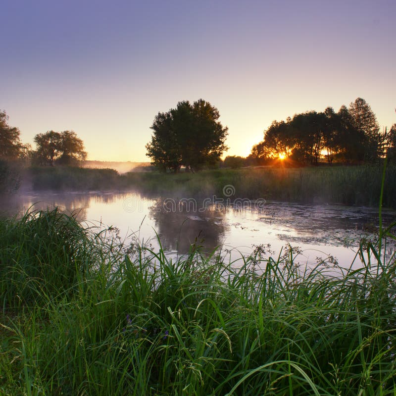 Morning on the river stock image. Image of landscape - 59982743