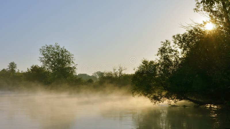 Morning river stock image. Image of greenery, blue, spring - 55027031