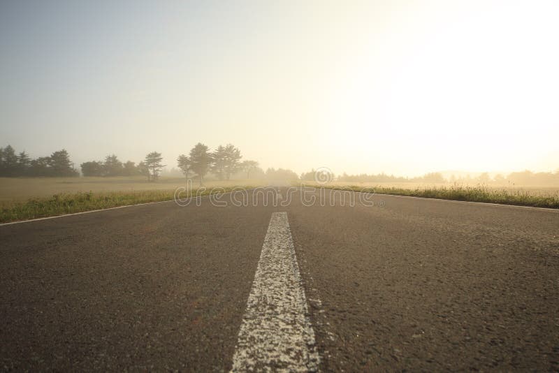 Morning road stock photo. Image of country, rural, outdoors - 16932940