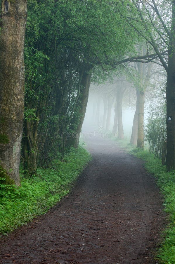 Morning Road Picture. Image: 5080205