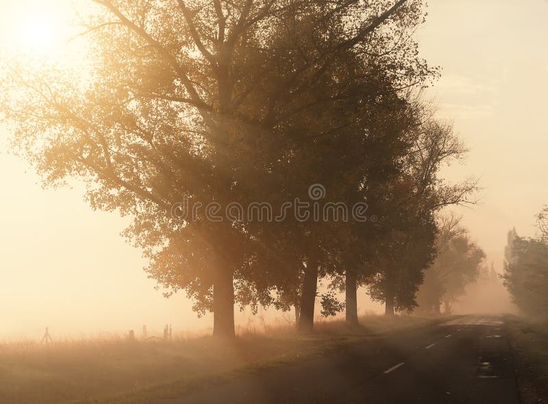 Morning road traffic stock image. Image of fast, panorama - 221608043