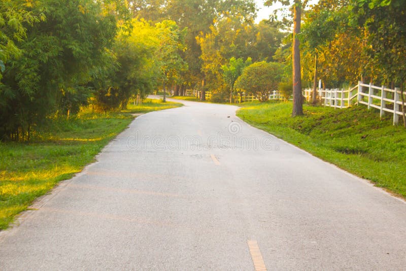 Morning Road stock photo. Image of shadow, comfortable - 103121490