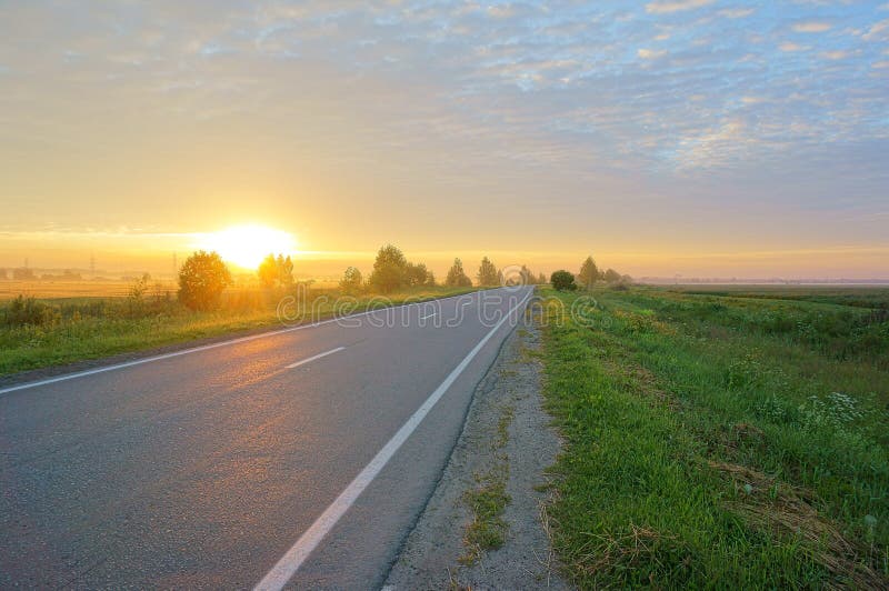 Morning Road through the Field Stock Photo - Image of road, trees ...