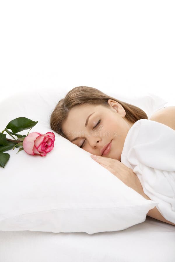 Morning rose stock photo. Image of face, duvet, brown - 9002666