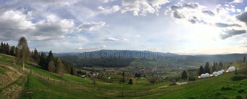 Morning Rose, Grass, Forest, Trees, Mountain, Summer, Nature Stock ...