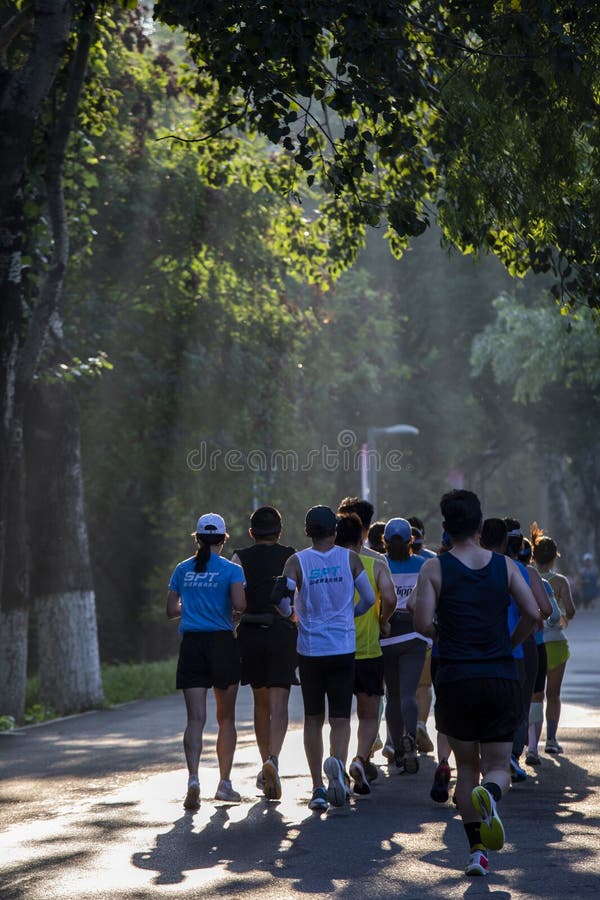 Sunlight Dindar Stock Photos - Free & Royalty-Free Stock Photos from ...